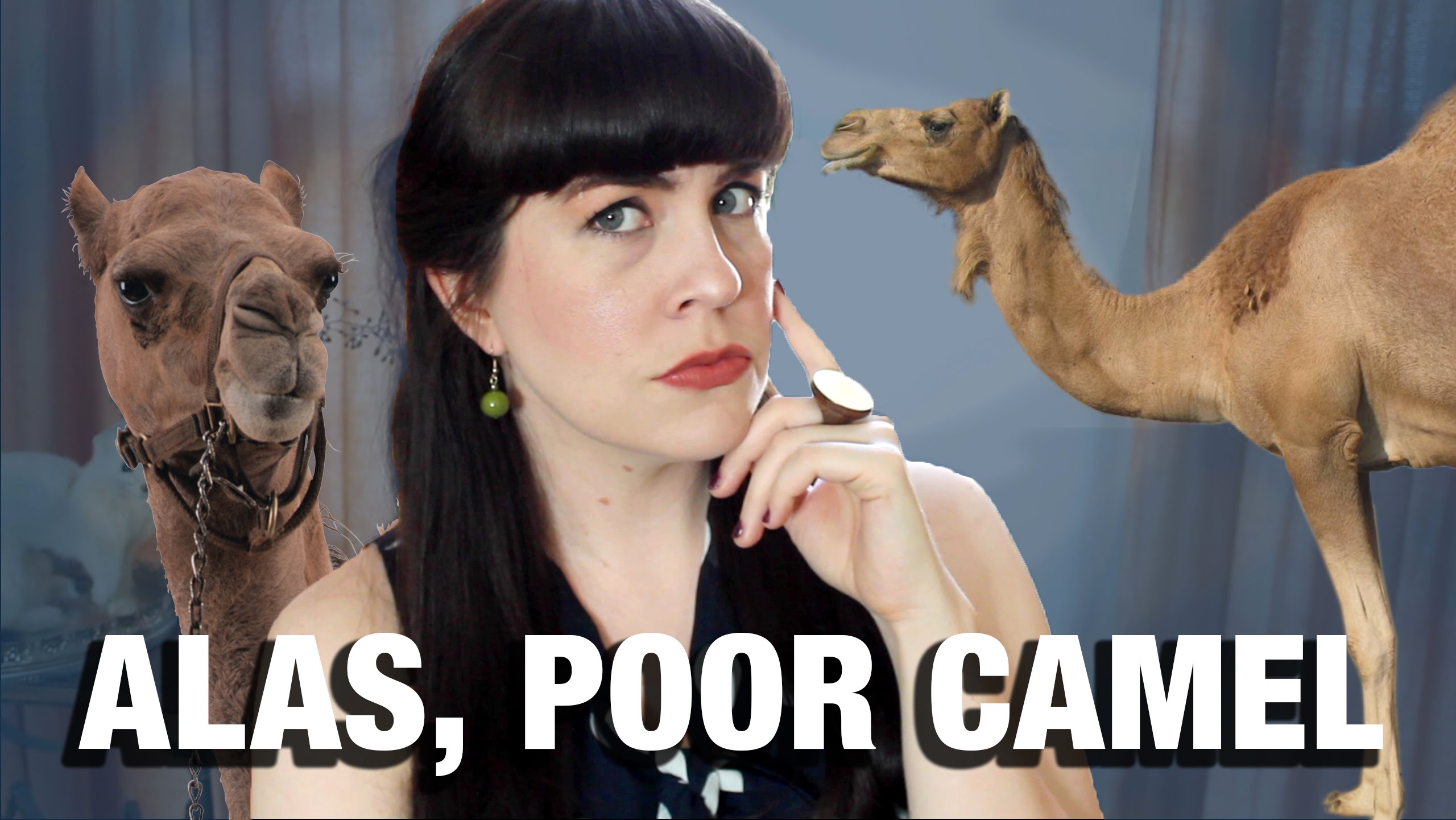 REST IN PEACE, CONFEDERATE CAMEL | The Order of the Good Death